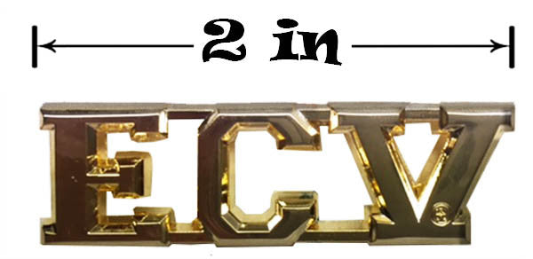 Gold 2 inch ECV Pin – Wreck'n Ball Enterprises