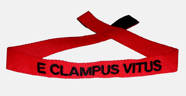 Embroidered Hat Band ECV - Red – Wreck'n Ball Enterprises