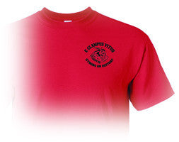 ECV Strong on History T-Shirt. – Wreck'n Ball Enterprises