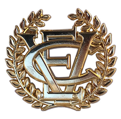 Stacked ECV Gold Pin – Wreck'n Ball Enterprises